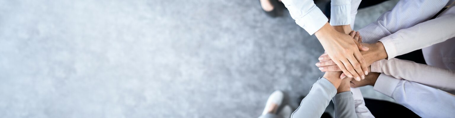 Our Team – ACS Metropolis